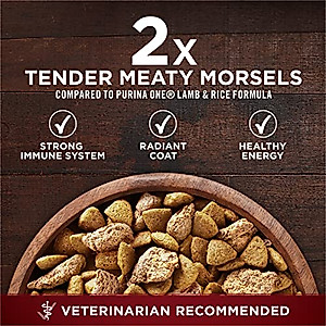 Purina ONE True Instinct With A Blend Of Real Turkey and Venison Dry Dog Food - 15 lb. Bag