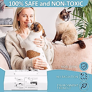 Qualirey Mouse and Insect Glue Boards Pest Glue Traps Bulk Large Mouse Rat Trap Sticky Adhesive for Mice Spider Moth Cockroaches Cricket House Indoor Outdoor Non Toxic (300 Pcs,10.63 x 5.31 Inch)