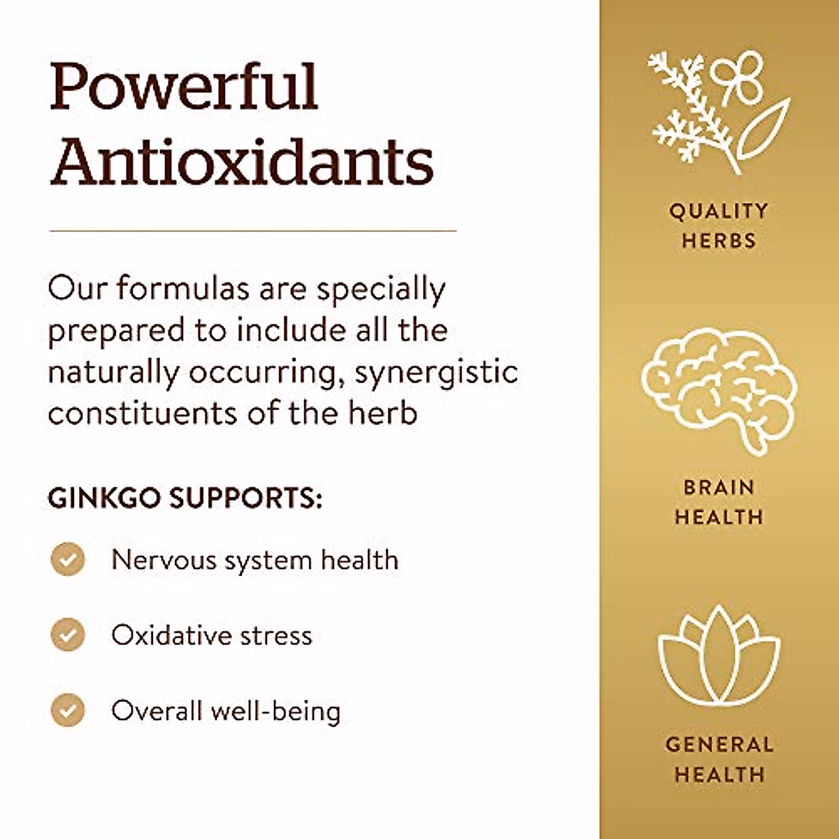 Solgar Super Ginkgo, 120 Vegetable Capsules - Full Potency (FP) - Antioxidant & Nervous System Support - Brain Health - Non-GMO, Vegan, Gluten Free, Dairy Free, Kosher - 120 Servings