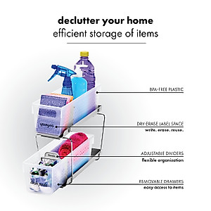 madesmart Mini 2-Tier Organizer, Multi-Purpose Slide-Out Storage with Handles and Dividers for Home and Bath, Frost