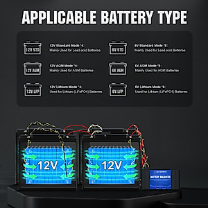 ECO-WORTHY Battery Balancer 48V Battery Equalizer for 24V/36V/48V Battery, Supports for LiFePO4 Lithium Battery, Lead Acid/Gel/SLA Nickel-Metal Hydride Battery