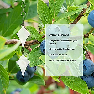 EACILLES Reflective Discs to Keep Birds Away, Hanging Reflectors to Scare Birds Away from Your House and Garden, 16 Diamond Discs