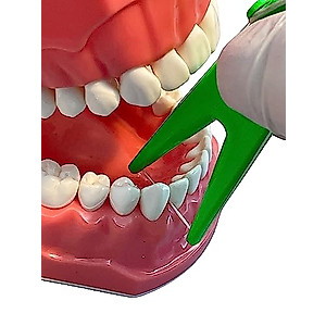 E-Z Floss Dental Floss Holder
