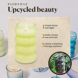 Paddywax Candles Realm Candle, 12 Ounces, Green, Bamboo