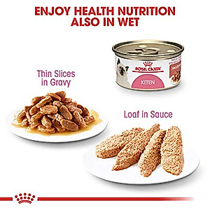 Royal Canin Feline Health Nutrition Kitten Dry Cat Food, 15 lb bag