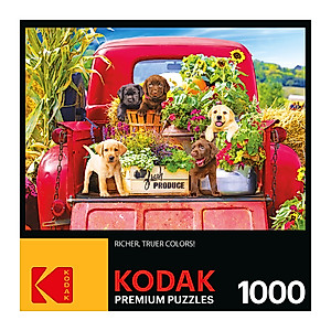 RoseArt - Kodak Premium - Stowaways - 1000 Piece Jigsaw Puzzle for Adults