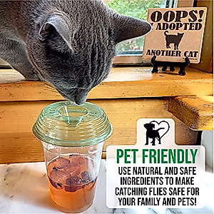 Billy-Bob Fly Lid - Turn Almost Any Cup Into A Fly Trap. Indoor and Outdoor Use - 3 Lids per Pack, 6 Lids Total