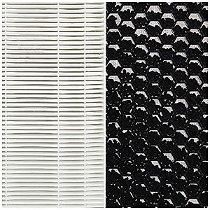 Genuine Winix 116130 Replacement Filter H for 5500-2 Air Purifier , White