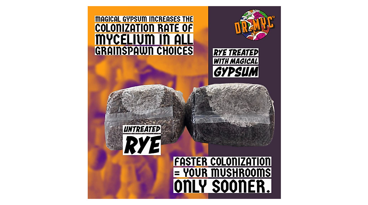 Lab Grade Gypsum for Mushroom Cultivation - DrMyc
