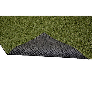 Garland Rug Artificial Grass Turf Indoor/Outdoor Area Rug, 5-Feet by 7-Feet, Green