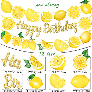 Lemon Happy Birthday Banners Glitter Gold Lemongrass Birthday Party Decorations Yellow Lemon Lemonade Party Decorations for Summer Fruit Birthday Party Lemon Theme Bridal Shower Supplies