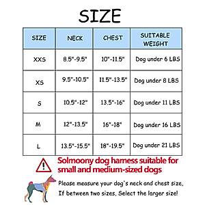 Solmoony Dog Harness for Small Medium Large Dogs No Pull, Puppy Harness and Leash Set, Puppy Harness for Small Dogs, Step in Harness for Small Dogs, Small Dog Harness, mesh Dog Harness. (Pink, XS)