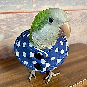 Yu~'s north Bird Collar Anti Bite Elizabethan Recovery Cone, Neck Protector for Feather Plucking, Skin-Friendly Neckwear Full Body Shield Parakeet Conure Cockatiel (Dark Blue, M), white, B2