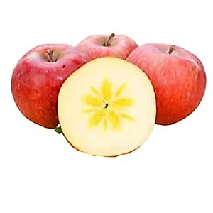 Dwarf Bonsai Apple Tree Seeds - 50 Seeds - Grow Exotic Indoor Fruit Bonsai