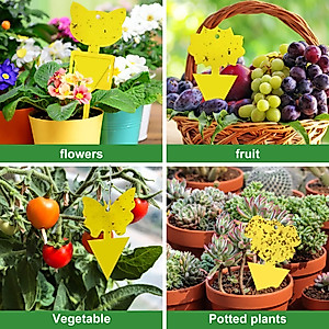 108 Pieces Sticky Fruit Fly Trap,Dual-Side Fruit Fly and Fungus Gnat Sticky Catcher Trap for Indoor Outdoor Fruit Fly,Fungus Gnats,Mosquito,Flying Insect Bug Pest,White Flies (Yellow-108 pcs)