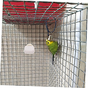 CORHAD 2pcs Parrot Standing Pole Parrot Perch Cockatiel Toys Parakeet Perches for Cage Bird Cage Toys Perches for Bird Cages Parrot Cage Supply Bird Perches Bird Toy Light Grey Pumice