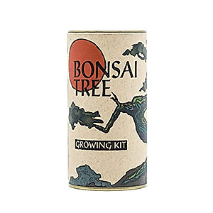 Bonsai Tree | Japanese Flowering Cherry | Seed Grow Kit | The Jonsteen Company