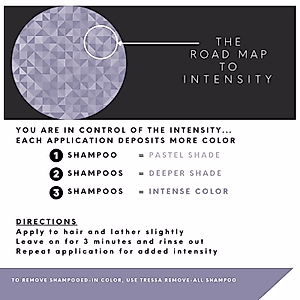 Watercolors Intense Metallic Color Depositing Sulfate & Paraben Free Shampoo, Maintains & Enhances Haircolor - Silver 33.8 oz