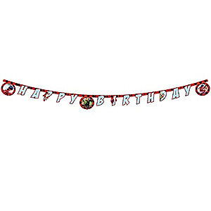 Procos PR91350 Garland Happy Birthday Ladybug, Multi-Coloured, Taglia Unica