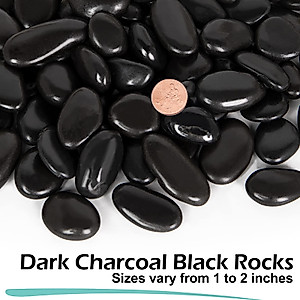 GASPRO 15 Pound Black River Rocks + 15 Pound White Pebbles, 1 to 2 Inch Black Pebbles, 3/8 Inch White Average-Sized Polished Pebble for Plants, Vase, Fish Tank, Garden