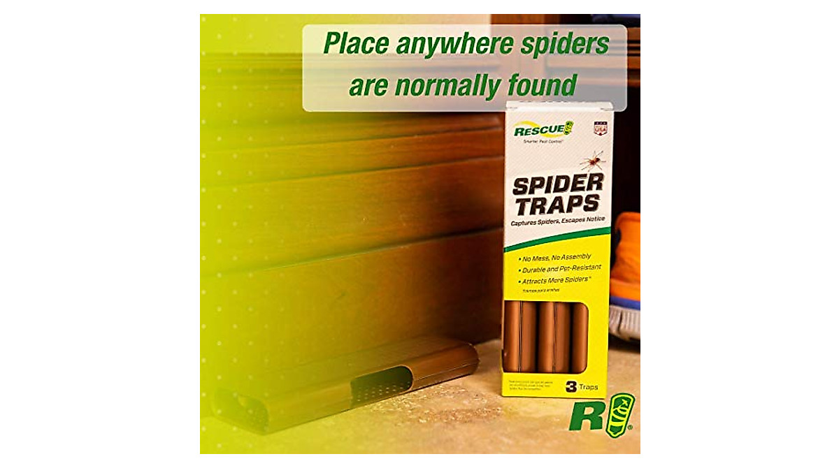 RESCUE! Spider Traps – Catches Brown Recluse, Hobo Spiders, Black ...