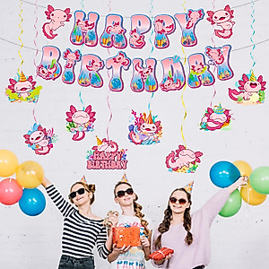 18PC Birthday Decorations Banner Hanging Swirls,Cute Party Decorations,Happy Birthday Banner for Boys Girls,Baby Shower Party Supplies Outdoor Indoor