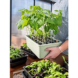 Gardener's Supply Company Deep Root Success | Self Watering Seed Starting Kit, 28-Cell Snap Apart for Easy Transplating | 4.75" Deep Cells, Growing Bin & Vented Humidity Dome