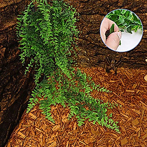 Tfwadmx Reptile Vines Plants Flexible Jungle Climbing Vine Gecko Coconut Coco Shell Hut Terrarium Plastic Plant Lizard Tank Accessories Habitat Decor for Gecko,Snake,Hermit Crab
