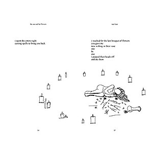 The Sun and Her Flowers