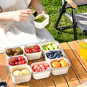 2 Pack Portable Picnic Parties Fruit Tray, 9 Compartment Fridge Food Veggie Condiment Divided Serving Preservation Storage Containers, Kitchen Clear Snackle Box Candy Organizer with Lid Handle