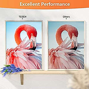 TESEN Compatible 664 XL Refill Ink Bottle Replacement for Epson 664 XL T664 for Use with Epson EcoTank ET-2500 ET-2550 Workfoce ET-4500 L485 L350 Printer T664120 T664220 T664320 T664420 4-Pack Color