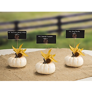 Darice, David Tutera, 6 Piece, Circle Copper Card Holder Pick