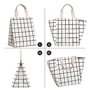 HOMESPON Reusable Lunch Bag Insulated Lunch Box Canvas Fabric with Aluminum Foil, Lunch Tote Handbag for Women,Men,Office (White Plaid)