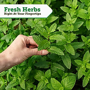 VegTrug 8 Pocket Herb Garden Grey Wash