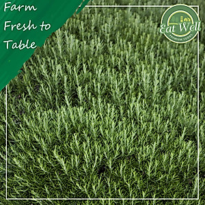 Eat Well Rosemary Leaves 16 oz, Premium Whole Dried Rosemary Leaves Bulk Pack, Dry Rosmarinus Officinalis 100% Natural Vegan Rosemary Seasoning Traditional Mediterranean Ingredients Dry Rosemary