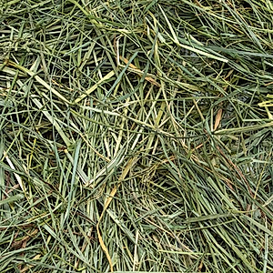 Rabbit Hole Hay Ultra Premium, Hand Packed Mountain Grass for Your Small Pet Rabbit, Chinchilla, or Guinea Pig (24oz)