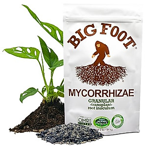BIG FOOT GRANULAR Organic (2 lb )Mycorrhizae Fungi Inoculant with Plant Food Nutrient ingredients for Plant Root Growth, Use For Transplanting, 2 lbs