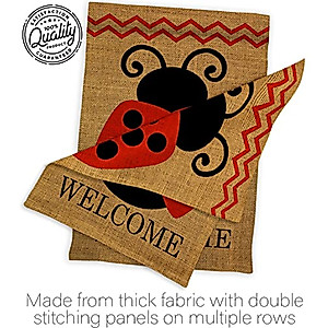Welcome Ladybug Burlap Garden Flag - Friends Bugs & Frogs Butterfly Ladybugs Dragonfly Bee Springtime Insect Natural Wildlife - Yard Decorations Holiday Outdoor Flags Double-Sided 12.5 X 18
