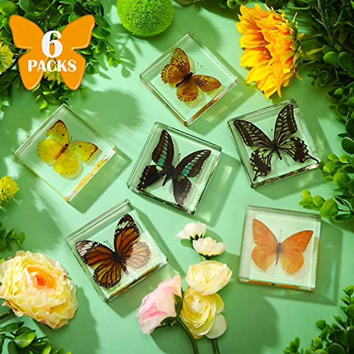 6 Pcs Real Butterfly Specimen Butterfly Paperweight Assortment Framed Butterfly Taxidermy Resin Butterfly Collection Display Science Toys for Home Office School, 6 Styles