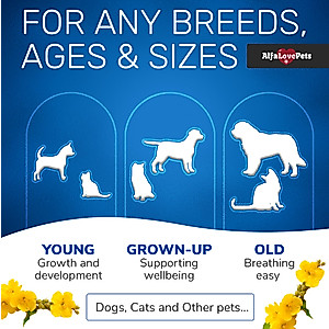 Kennel Cough Treatment ✿ Dog Cough Treatment ✿ Сat Сough ✿ Dog Cough Medicine Dietary Supplement ✿ Kennel Cough Treatment at Home for Dogs & Cats ✿ for Pets with Love ✿ 2 Oz