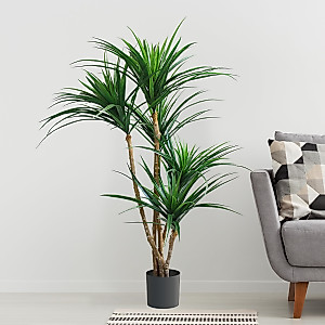 Pure Garden Artificial Tree - 51-Inch Tropical Yucca Plant with Rubber Leaves and Natural Trunk for Living Room, Bedroom and Office - Faux Plants