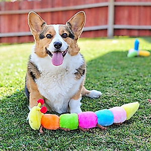 ZippyPaws - Colorful Caterpillar Dog Toy, Rainbow Dog Toy with Squeakers, Plush Dog Toys for Aggressive Chewers, Summer Dog Toys, Rainbow Dog Pride Accessories