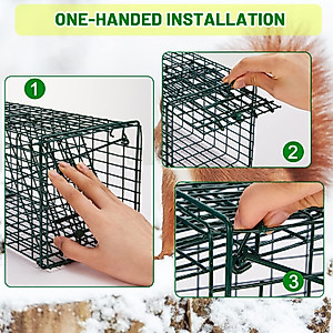 Qualirey 2 Pcs Humane Squirrel Trap Heavy Duty Live Animal Chipmunk Trap Catch and Release Rat Trap for Outdoor Small Animals Mouse Raccoon Stray Cat Rodent Weasels (16 x 5 x 5 Inch)