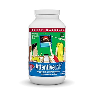 Source Naturals Attentive Child Chewable Wafers for Brain Metabolism Support - 120 Fruit Wafers