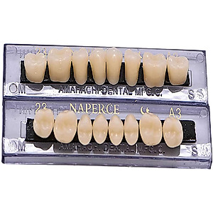 RZJZGZ Synthetic Resin Tooth Denture False Teeth for Halloween Horror Teeth 23 A3(56 Pcs/2Set)