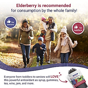 Certified USDA - 100% Organic Dried Elderberries - 1lb Bulk - Non-Irradiated, Non-Gmo, Whole Black Elderberry Immune Support For Making Elder Syrup, Gummies, Tea - Raw Vegan Sambucus 1 Pound