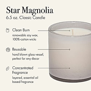 LAFCO New York Classic Candle, Star Magnolia - 6.5 oz - 50-Hour Burn Time - Reusable, Hand Blown Glass Vessel - Made in The USA
