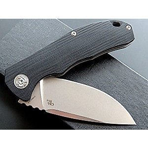 Eafengrow CH3504-G10 Flipper Folding Knife Camping Fruit Pocket Knives EDC Tools D2 Blade Ball Bearings Outdoor Tool (black)