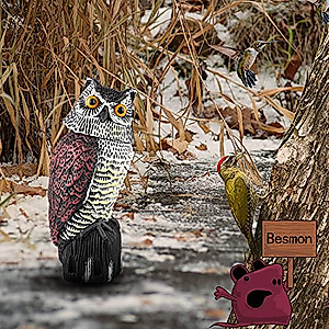 Rolan Owl Decoy Model Used to Scare Birds Away - Flashing Eyes & Frightening Sound Owls for Bird Control
