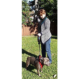 Primal Pet Gear Dog Leash 6ft Long,Traffic Padded Two Handle,Heavy Duty,Reflective Double Handles Lead for Control Safety Training,Leashes for Large Dogs or Medium Dogs,Dual Handles Leads(Black)